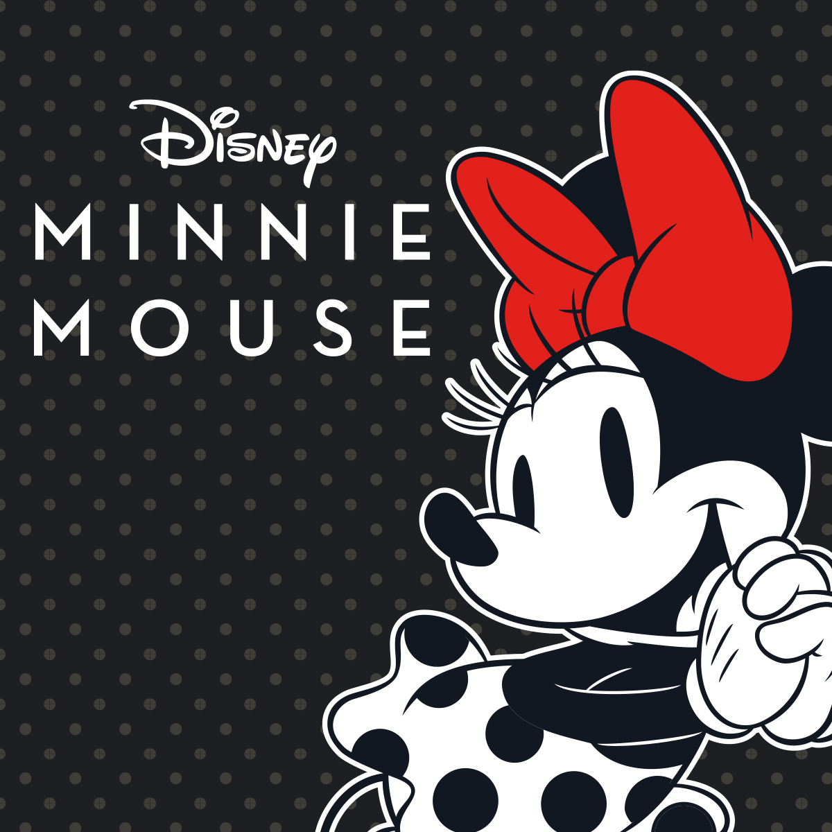 Minnie Mouse Rojo Y Negro Decoracion Fiesta Minnie Mouse En Rojo